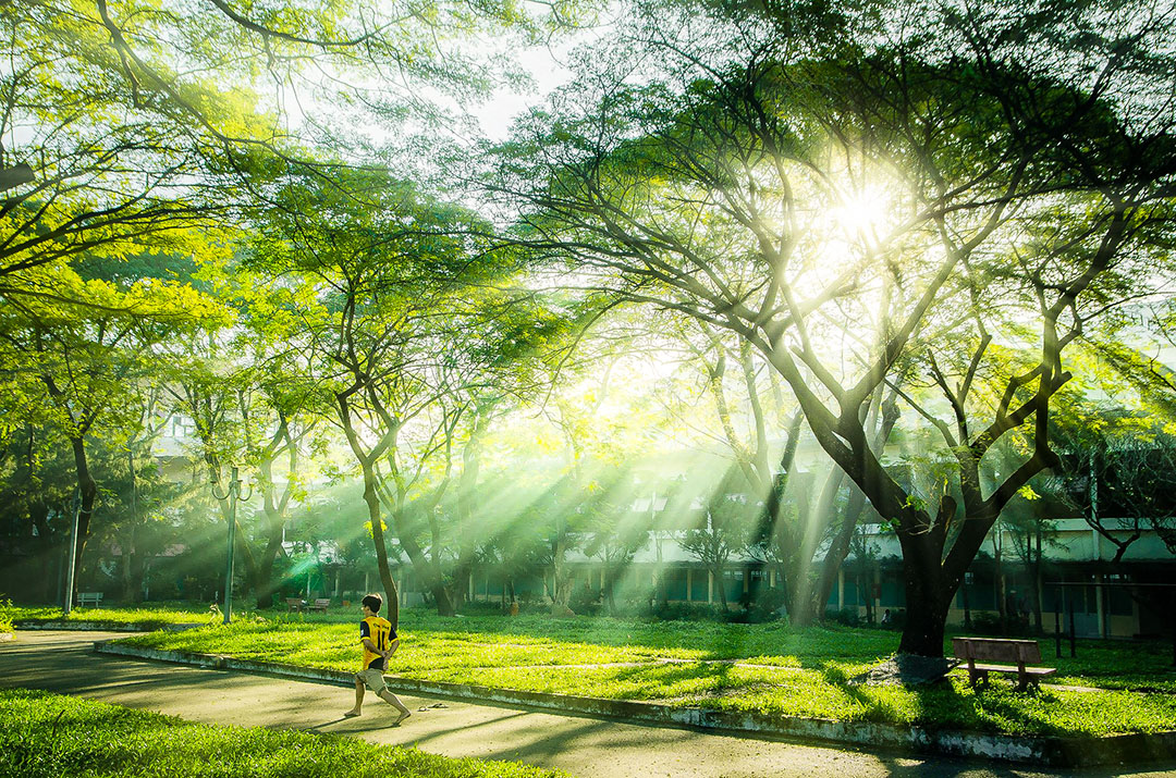 Aphoto - Hội Mê Nhiếp Ảnh | Chụp Hình, Sửa Ảnh Và Review Máy Ảnh